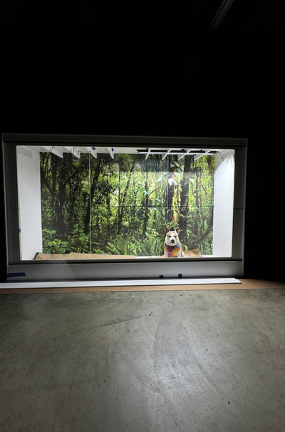 CUSTOM ENCLOSURES – Tamura-designs