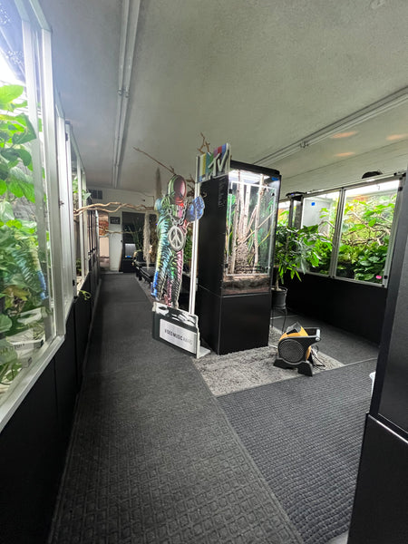 CLEAR FRONT 24"Wide_48"Tall_24"Deep – Tamura-designs