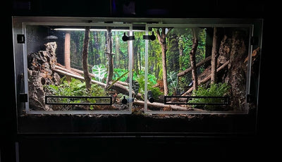 TERRESTRIAL ENCLOSURES – Tamura-designs